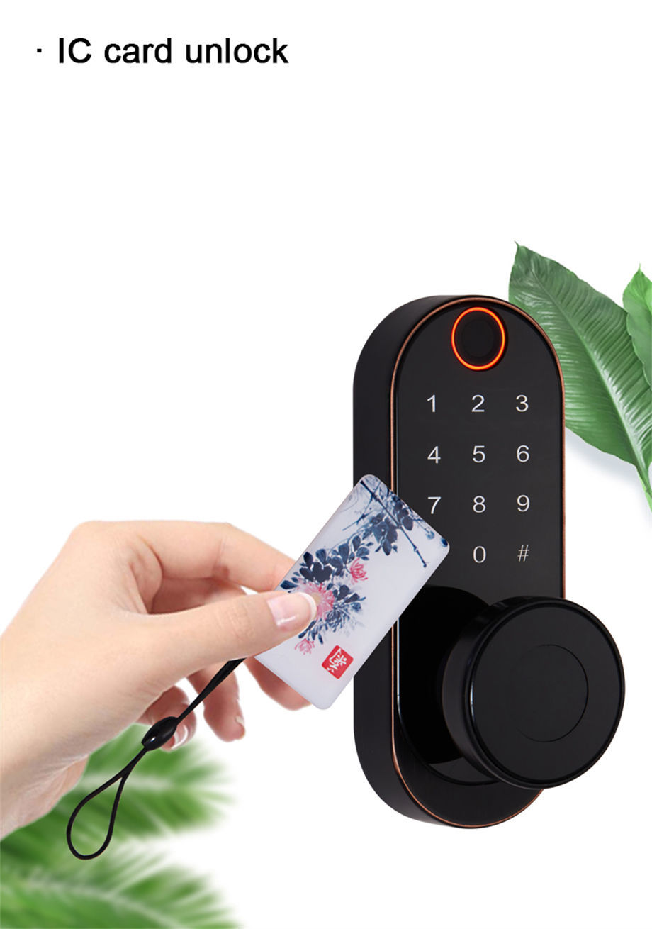 Buy Wholesale China Factory Delivery Smart Door Lock Smart Multi Point ...