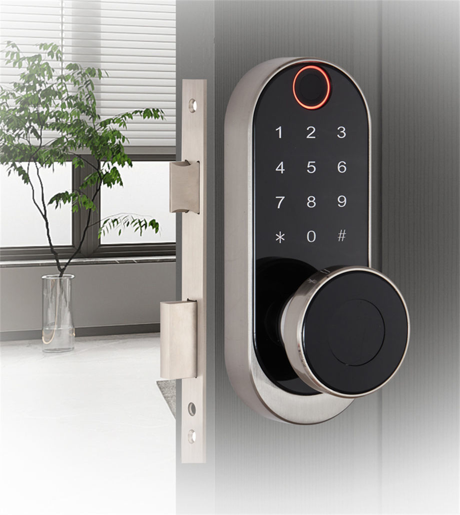 Buy Wholesale China Factory Delivery Smart Door Lock Smart Multi Point ...