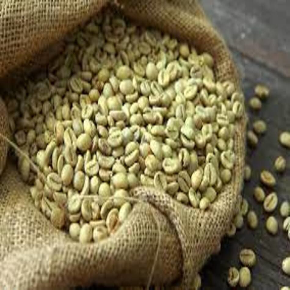 Buy Wholesale United States Roasted Coffee Beans Arabica Blend Coffee ...