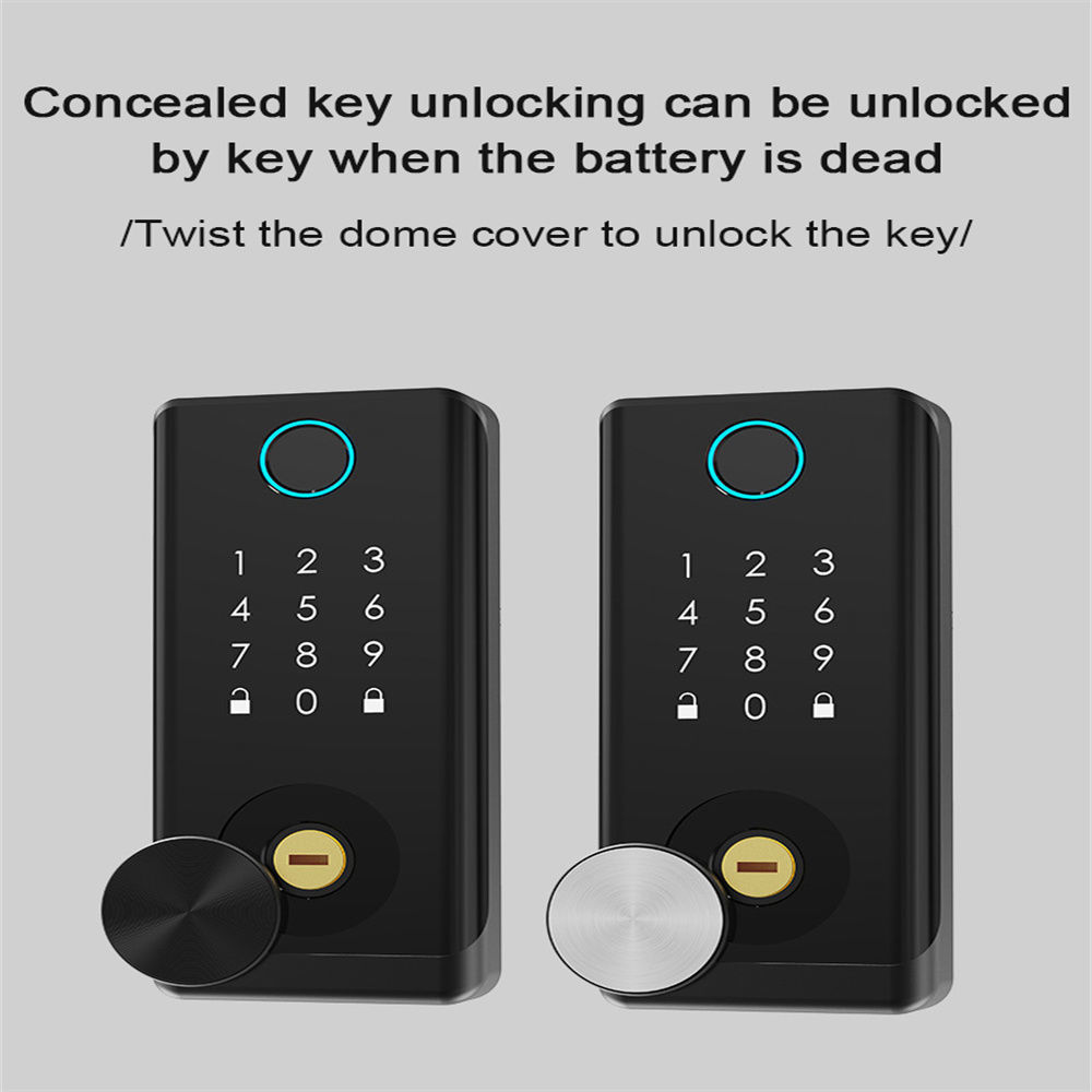 Buy Wholesale China Black New Technology Smart Lock Small New Arrival ...