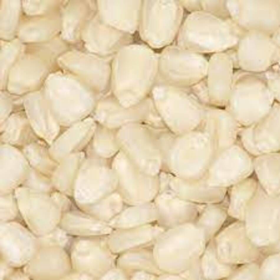 Bulk Buy United States Wholesale Fresh Yellow Corn/ White Corn Bulk ...