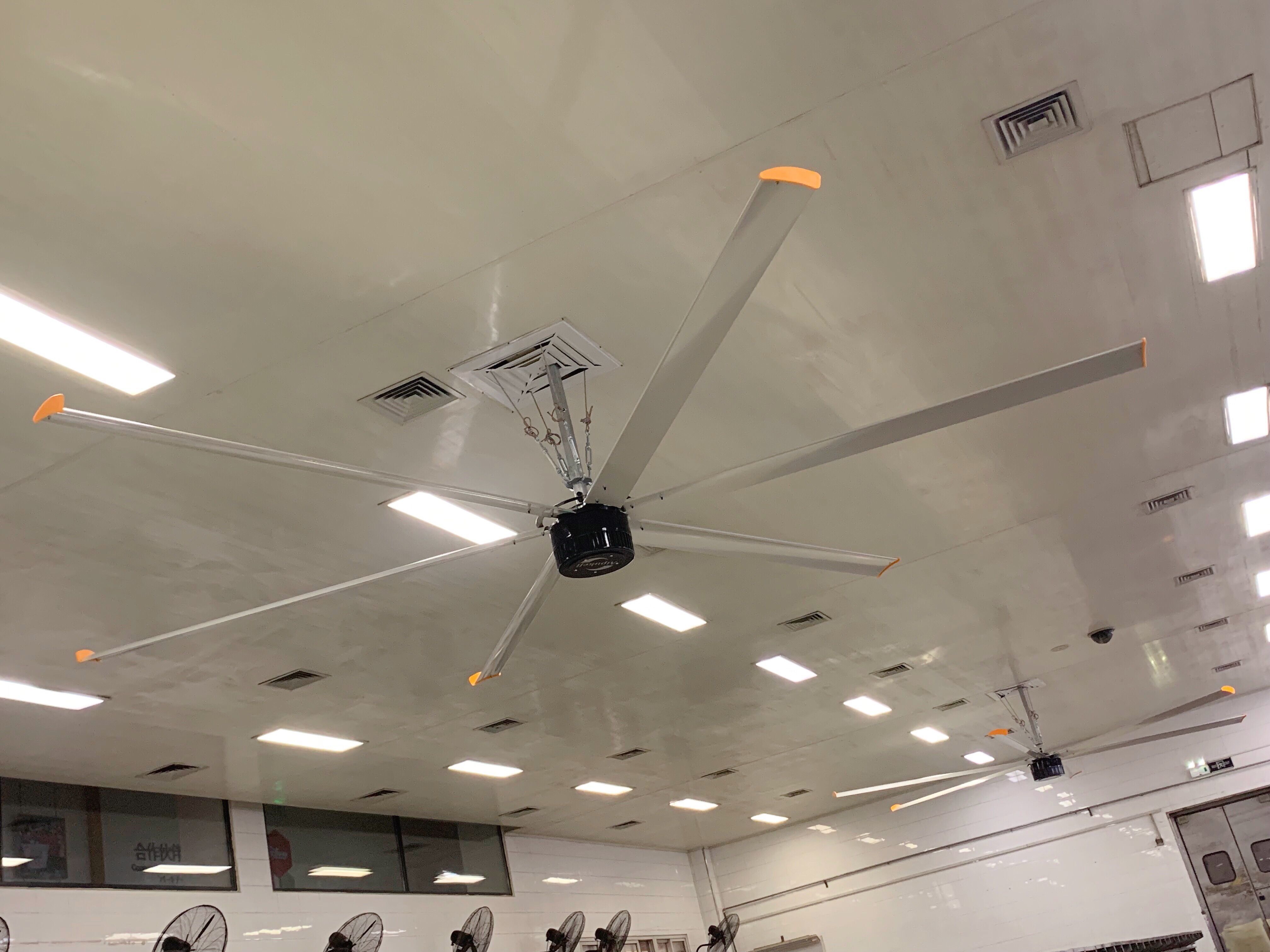 8ft Industrial Large Cooling Bldc Ceiling Fan - Explore China Wholesale ...