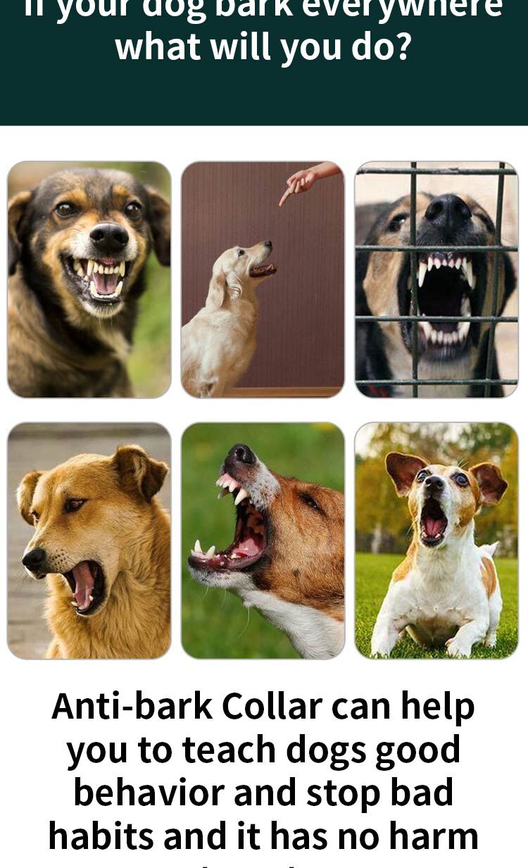 Buy Wholesale China Anti Bark Silicone Probe Control Collar For Dog ...