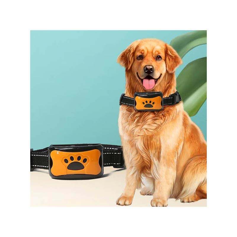 Buy Wholesale China Anti Bark Silicone Probe Control Collar For Dog ...