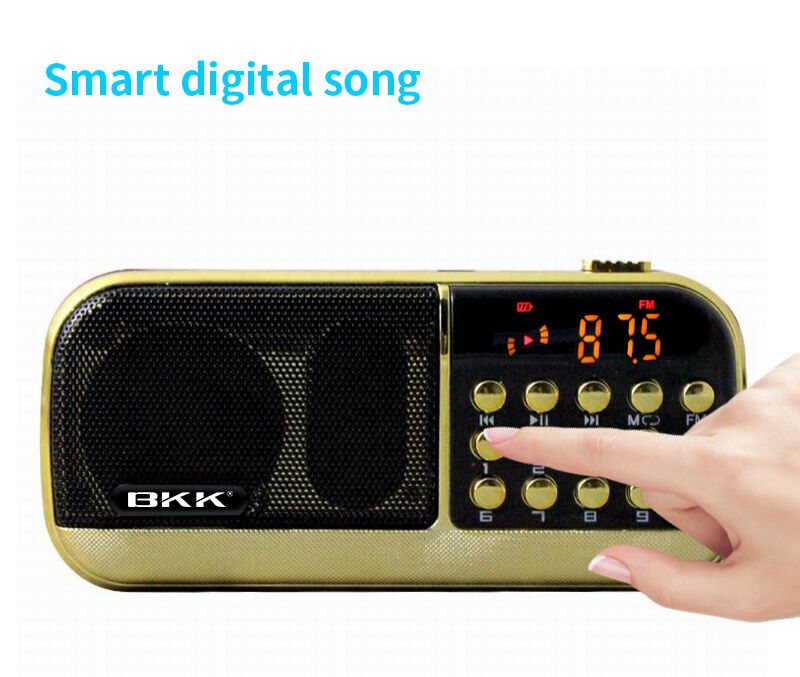 Buy Wholesale China Traditional Fm Radio Digital Song Mp3 Player Mini ...