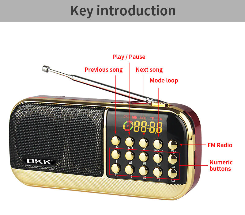Buy Wholesale China Traditional Fm Radio Digital Song Mp3 Player Mini ...