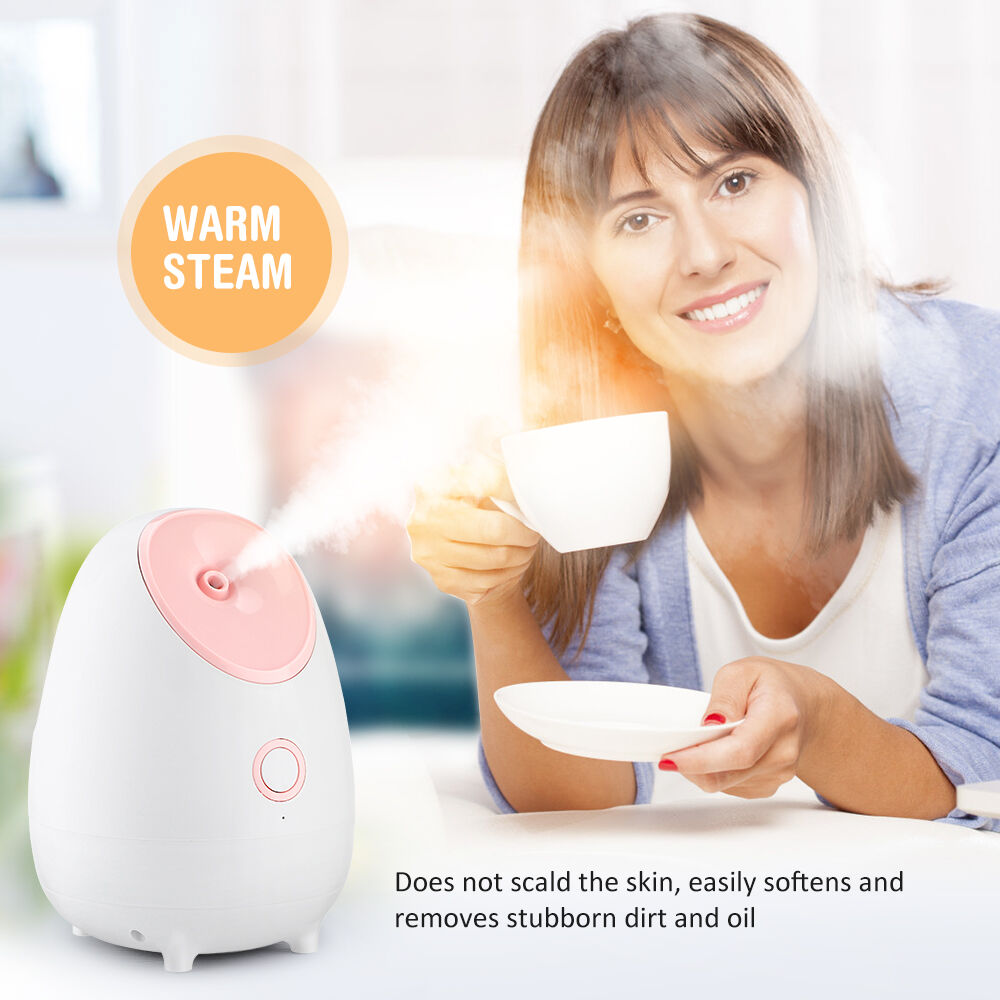 Facial Vaporizer Hot Spray Steam Cosmetic Mirror Large Capacity Water ...