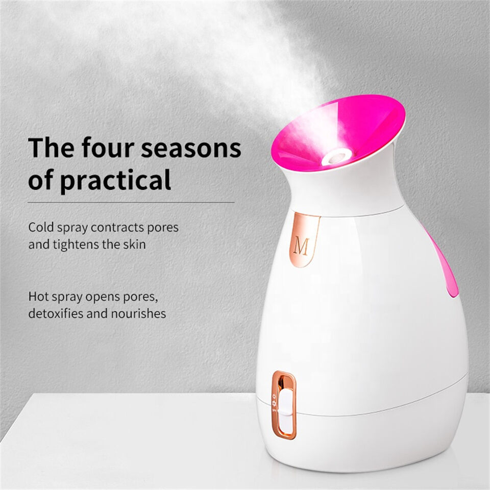 Desk Nano Face Instrument Professional Portable Hot Mist Ionic Face ...
