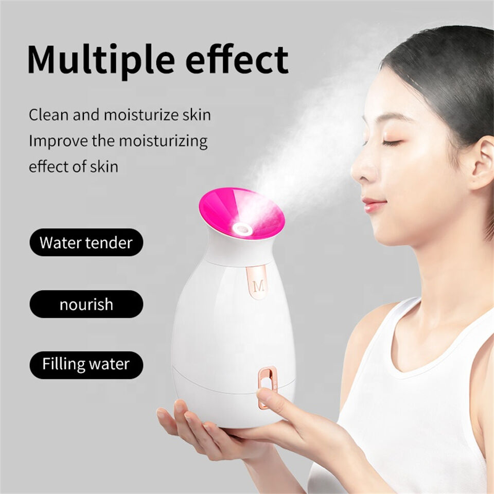 Desk Nano Face Instrument Professional Portable Hot Mist Ionic Face ...