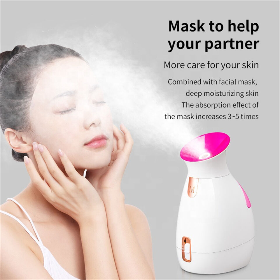 Desk Nano Face Instrument Professional Portable Hot Mist Ionic Face ...