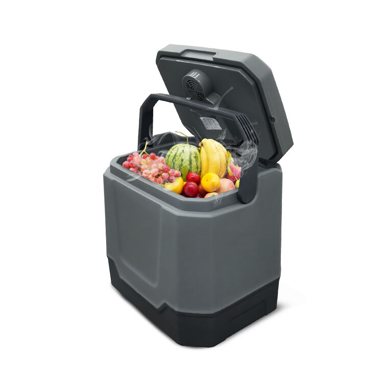 33l Portable Electric Cooler Box Car Fridge For Car $23 - Wholesale ...