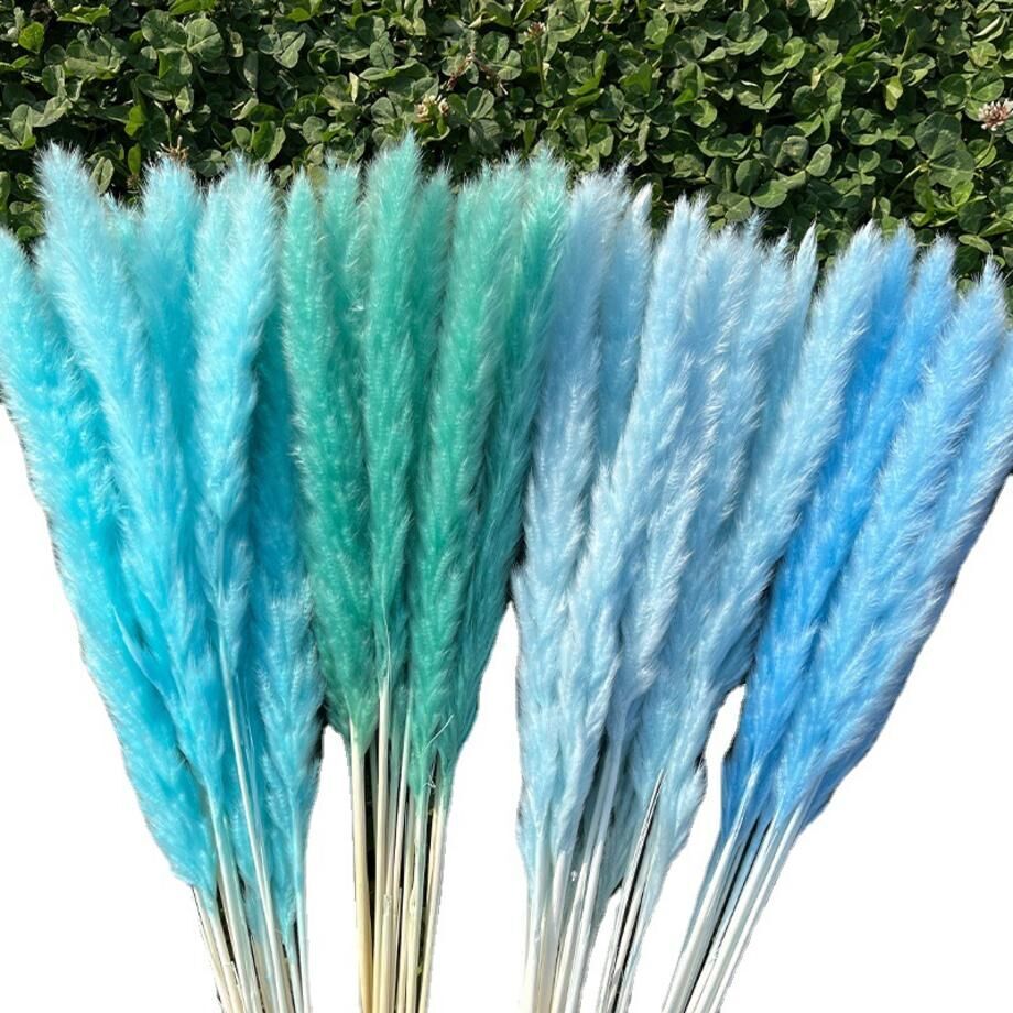 Buy Wholesale China Factory Direct Sale Pampas Grass Centerpiece Flower Decor Natural Real Dried