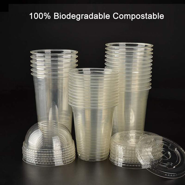 Buy Wholesale China Pla Printed Custom Logo Compostable Disposable ...