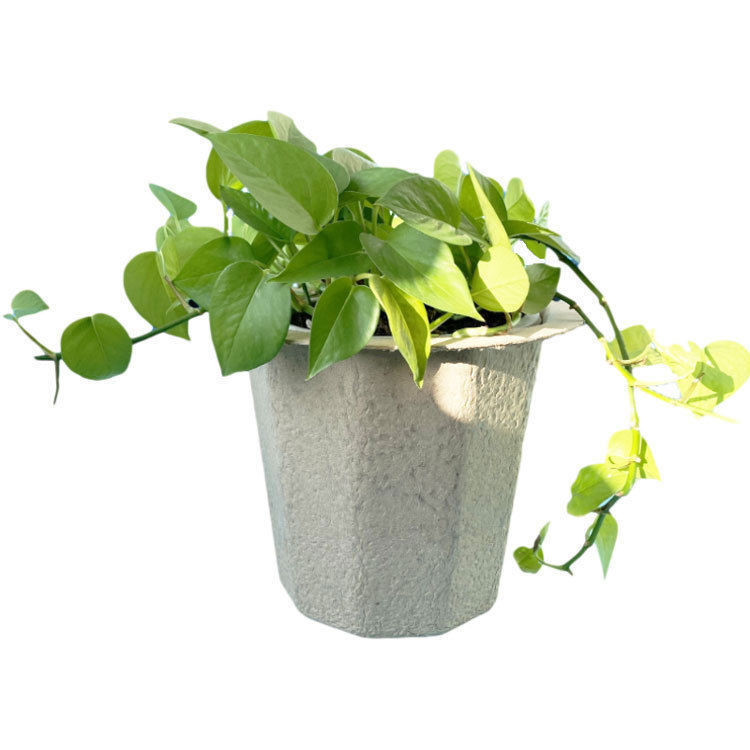 Buy Wholesale China Disposable Litter Basin For Cats Paper Cat Litter ...