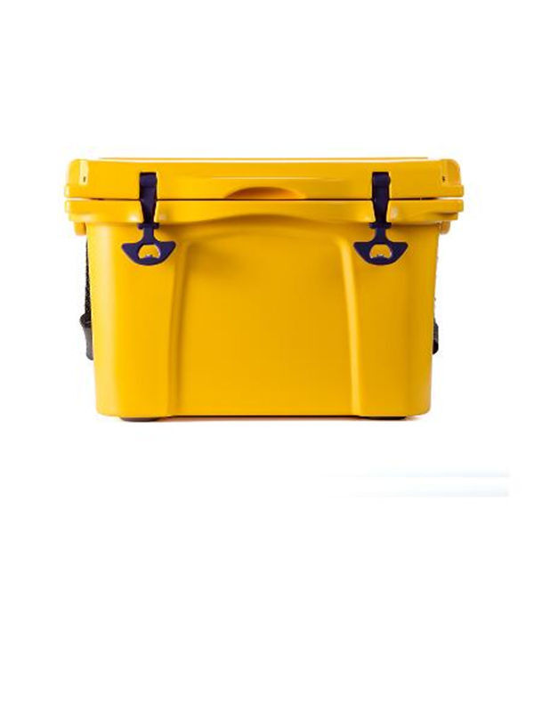 Buy Wholesale China Custom Insulated Hand Carry Plastic Cooler Box For ...