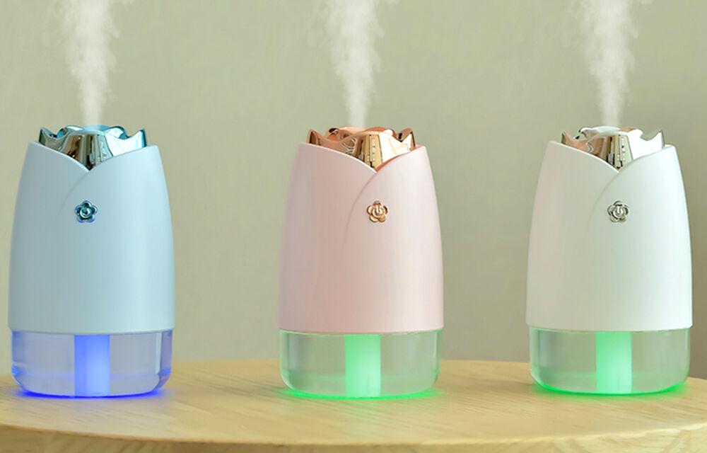 Bulk Buy China Wholesale Rose Humidifier Usb Humidifiers For Winter ...