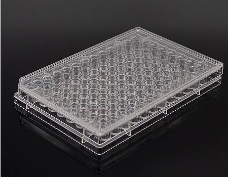 Buy China Wholesale 96 Deep Well Plate Square/round Well With Round ...