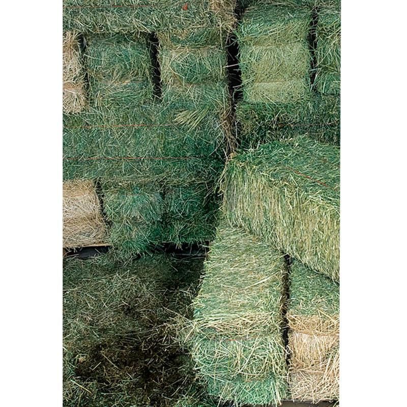 Bulk Buy United States Wholesale Alfalfa Hay Pellets Wholesale Price ...