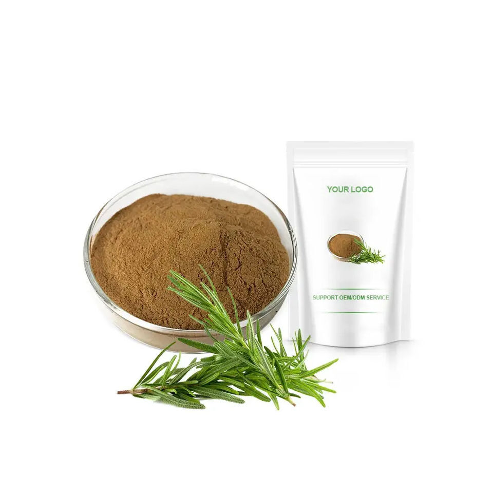 Buy Wholesale Canada Hot Sale Rosemary Extract Powder Organic Rosemary ...