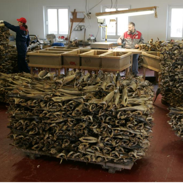 Buy Wholesale South Africa Norwegian Clipfish / Salted And Dried Cod ...