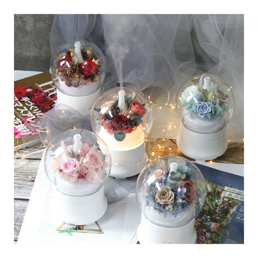 Frgrance Diffuser Preserved-flower Reed Diffuser Gift Preserved Flower ...