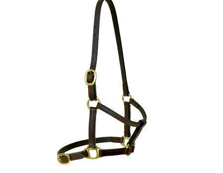Buy Wholesale China High-quality Leather Horse Halters - & Halters at ...