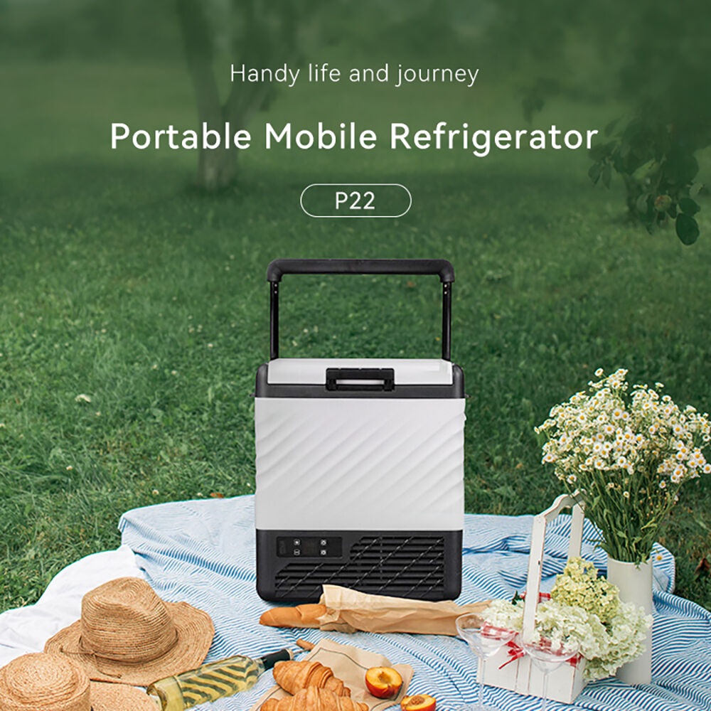 Buy Wholesale China Exliporc 60w 22l Mini Portable Fridge Battery ...