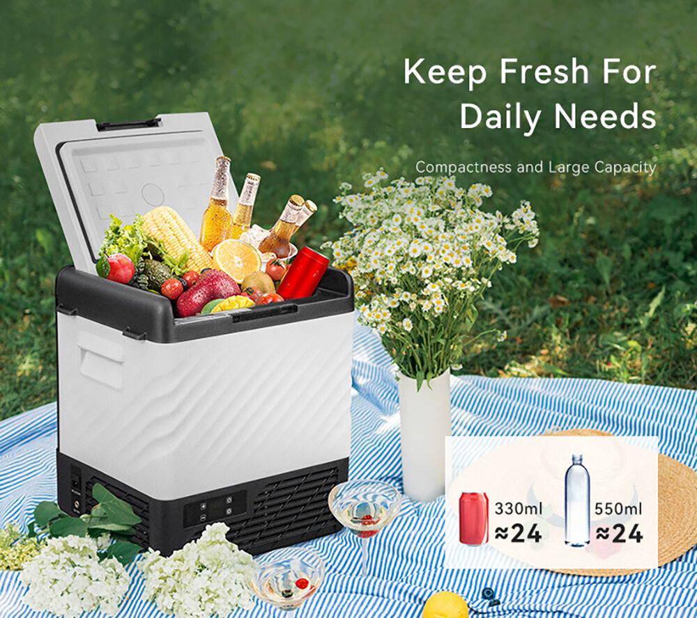 Buy Wholesale China Exliporc 60w 22l Mini Portable Fridge Battery ...