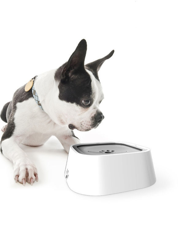Buy Wholesale China Pet Water Bowl, Splash - Proof Non - Wet Mouth ...