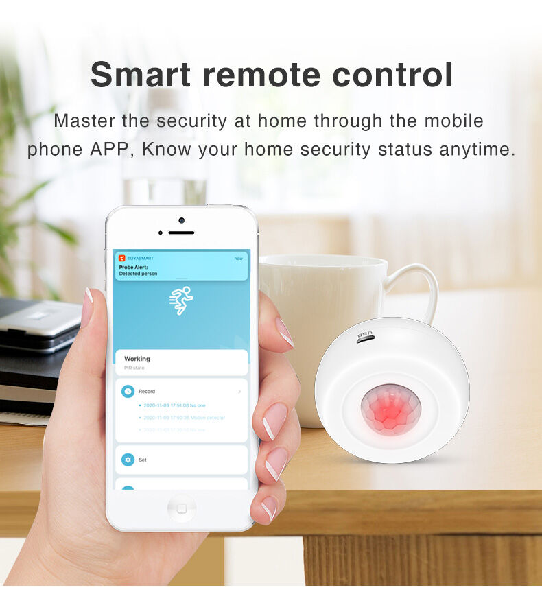 Buy Wholesale China Tuya Smart Wifi Pir Motion Detector Sensor Alarm ...