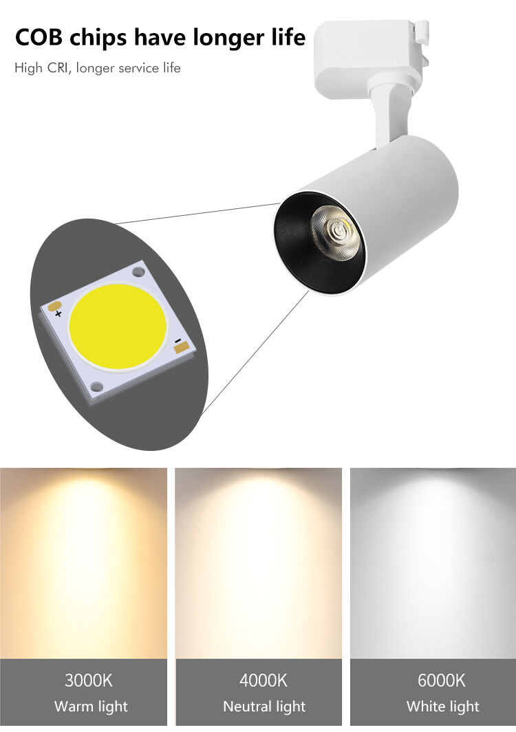 Buy Wholesale China Adjustable Track Light, Led Downlight , Ceiling ...