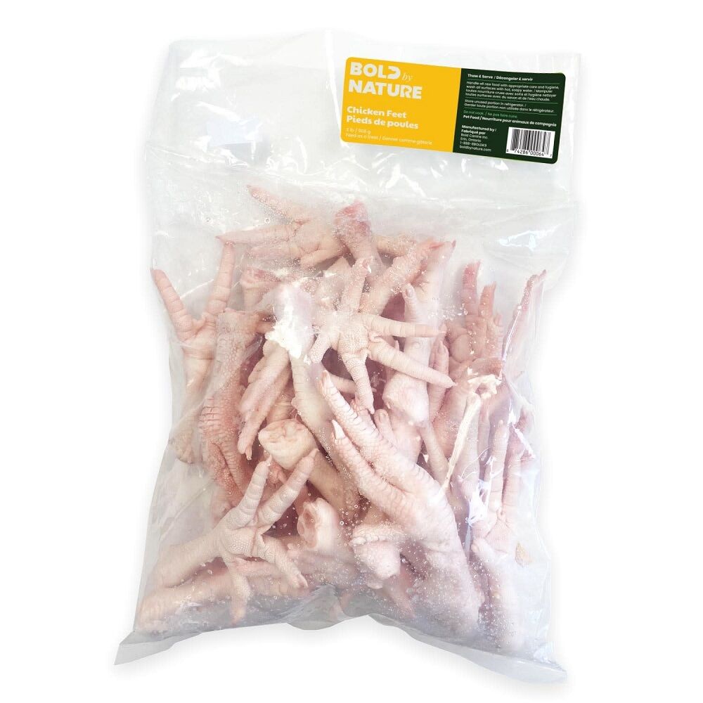 Buy Wholesale Thailand Frozen Chicken Feet - Frozen Chicken Paws ...