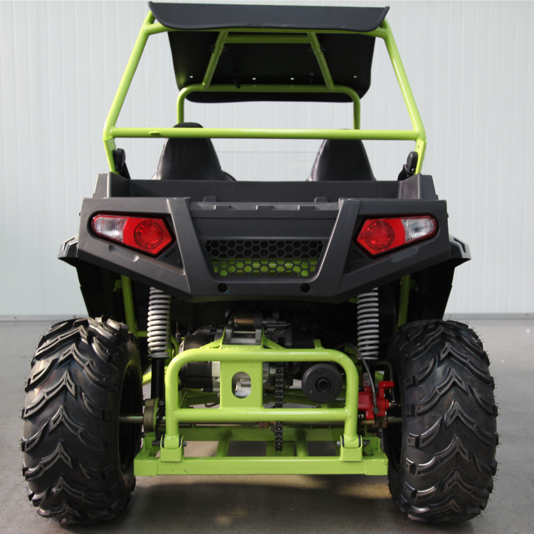 Buy Wholesale China Efi 200cc Two Seater Buggy For Kids And Adults With ...