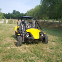 Buy Wholesale China Efi 200cc Two Seater Buggy For Kids And Adults With ...