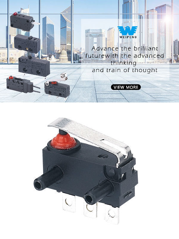 Buy Wholesale China Sale Waterproof Miniature Switches / Wholesale The ...