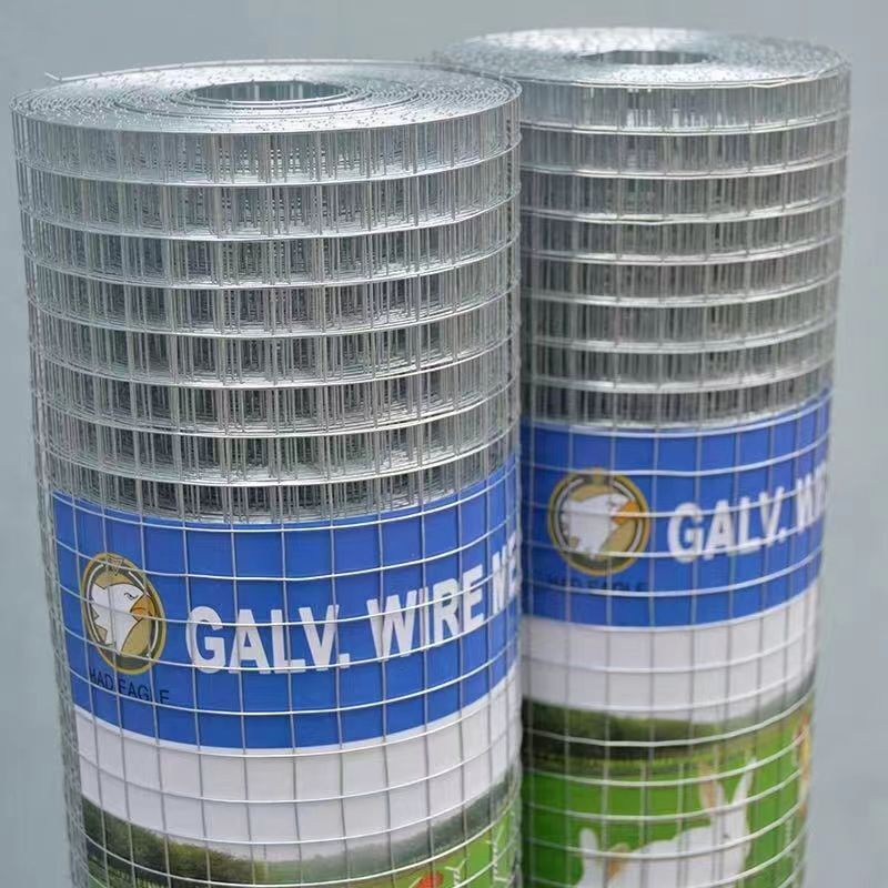 Buy Wholesale China Gi Wire & Electro Galvanized Welded Wire Mesh at ...