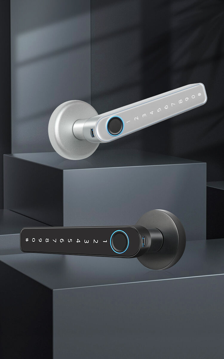 Buy Wholesale China Navicat Tuya Wifi Smart Handle Wireless Door Lock ...