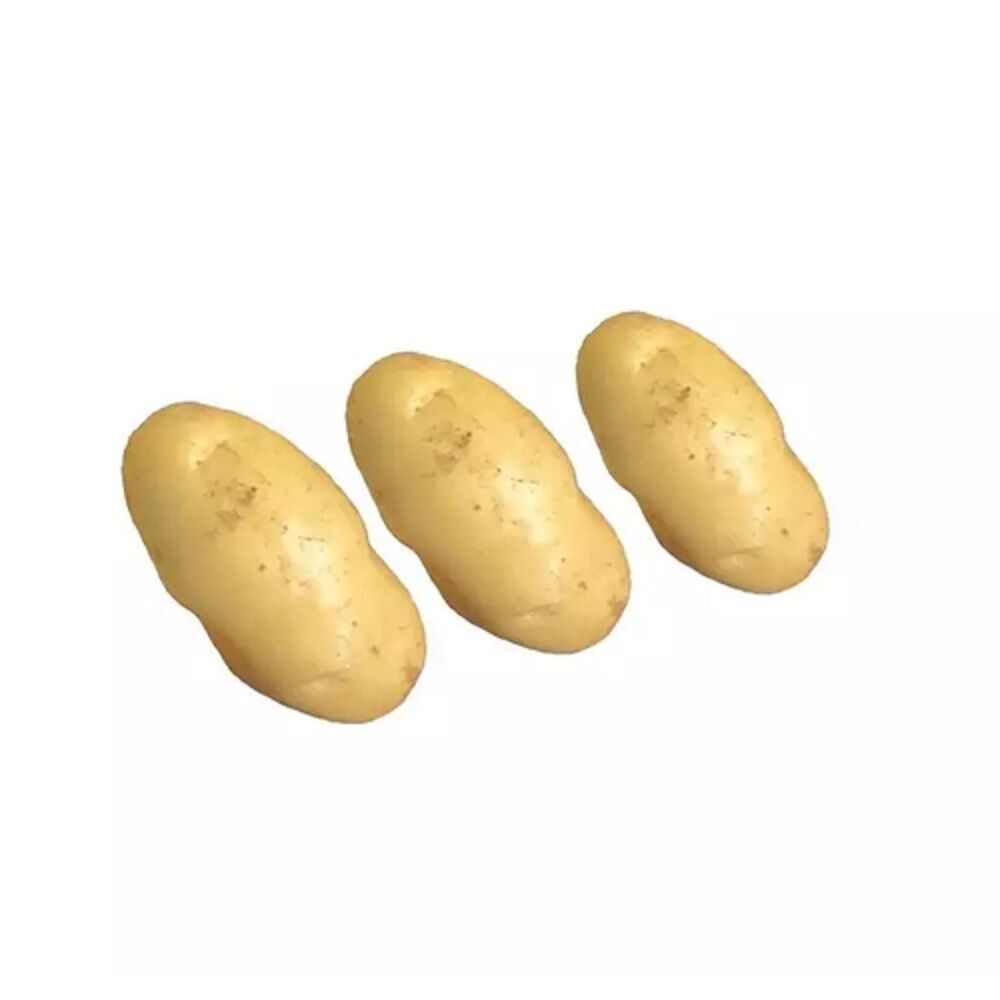 Buy Wholesale Canada Fresh Potatoes Export Wholesale At The Best Price ...