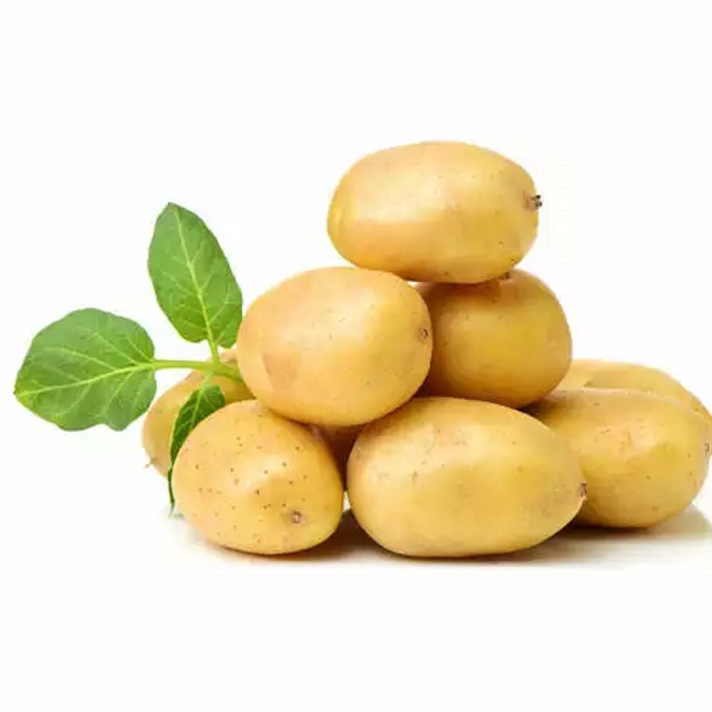 Buy Wholesale Canada Fresh Potatoes Export Wholesale At The Best Price ...