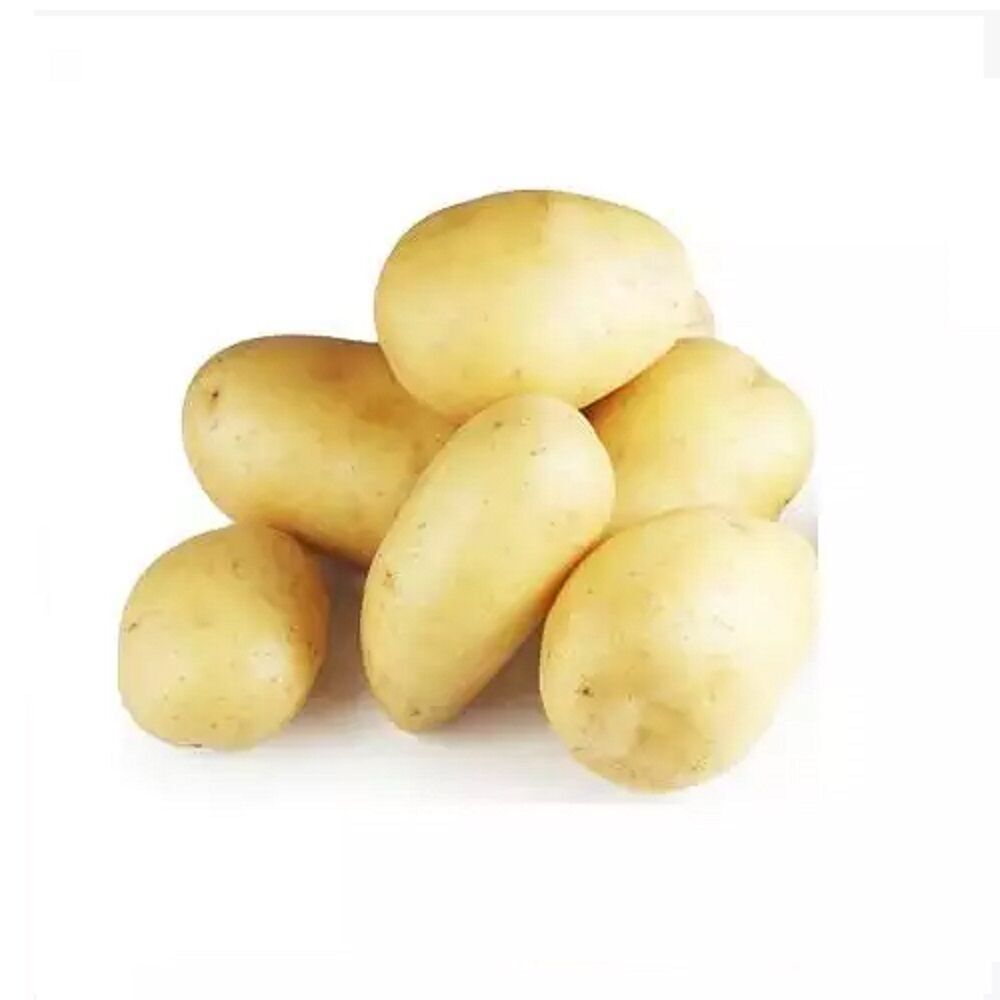 Buy Wholesale Canada Fresh Potatoes Export Wholesale At The Best Price ...