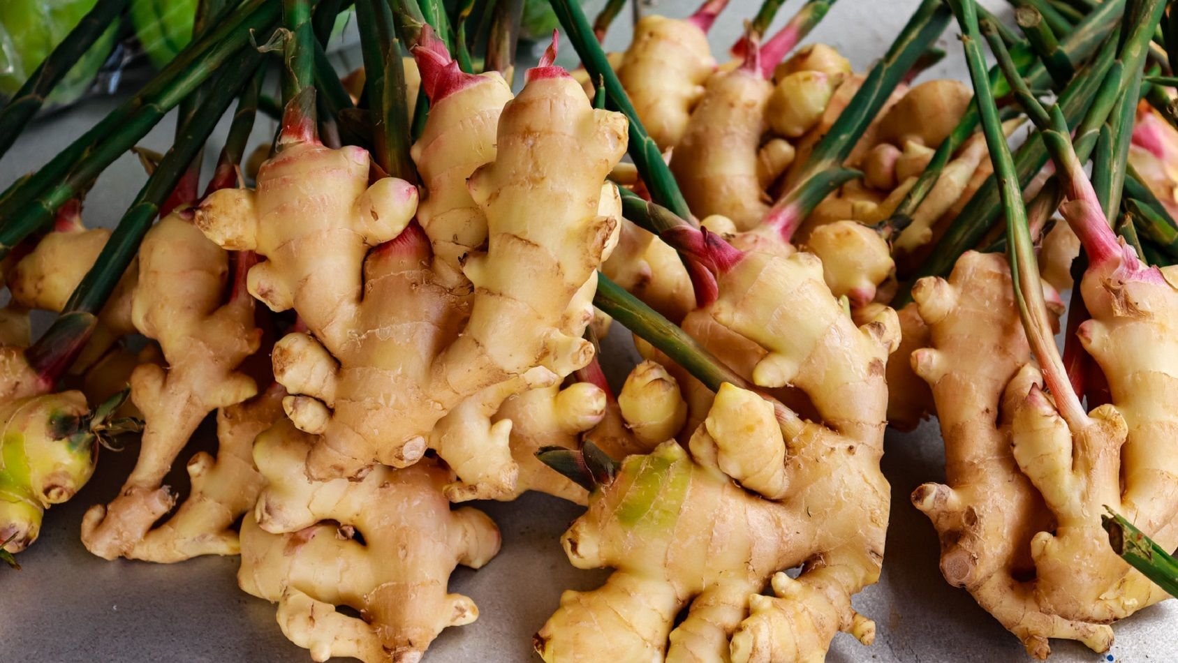 Buy Wholesale Canada Best Fresh Dry Jengibre Buy Dried Ginger Buyers ...