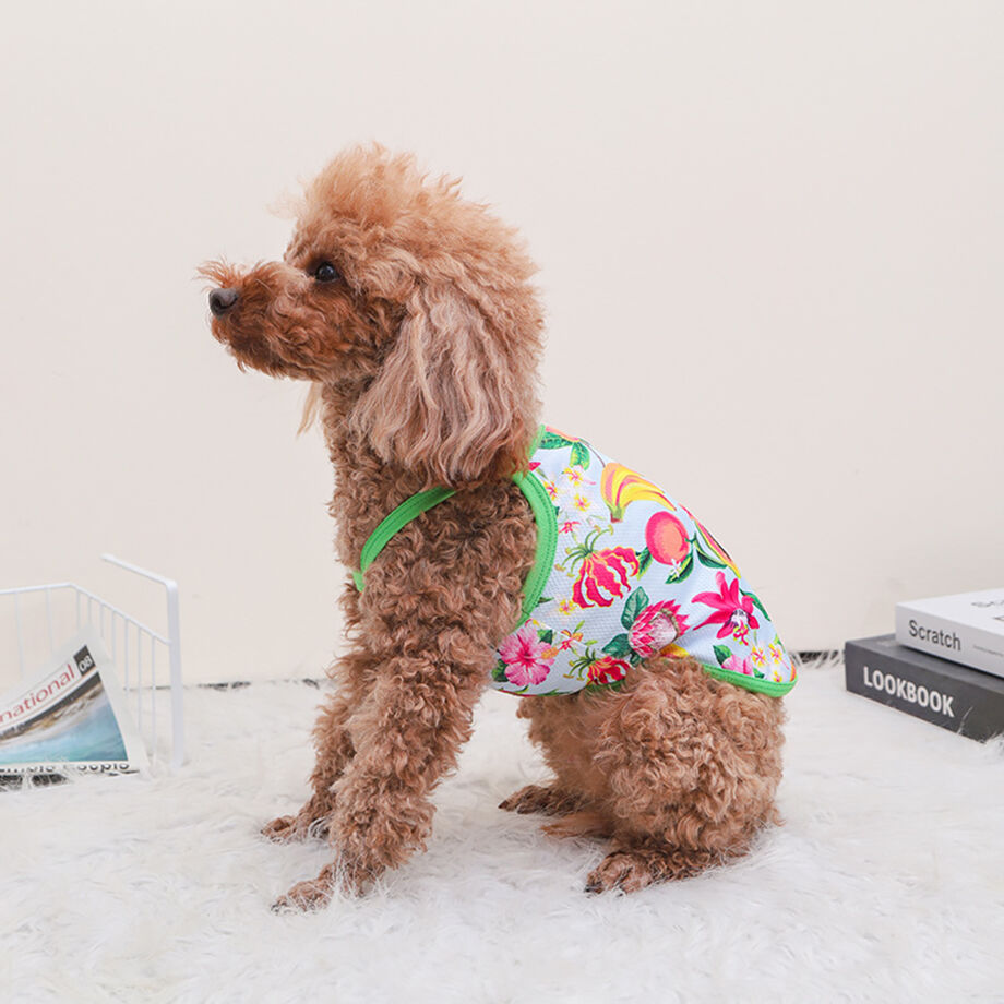 Buy Wholesale China Custom Wholesale Luxury Pet Clothes Vest Fashion ...