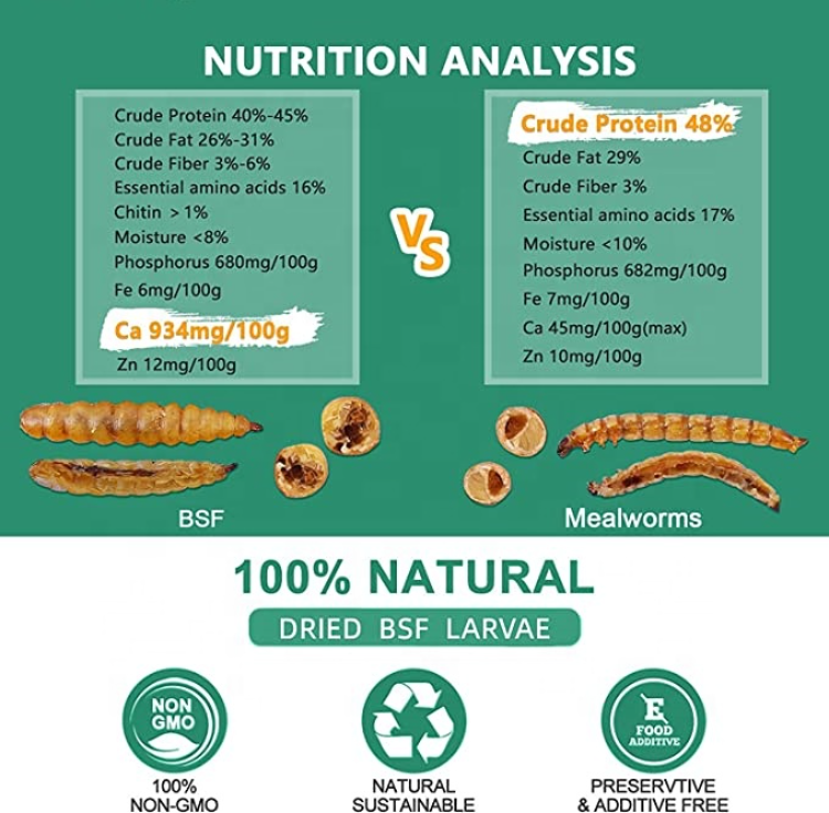 Buy Standard Quality China Wholesale Dried Black Soldier Fly Larvae ...