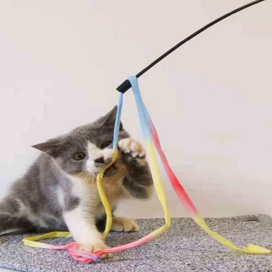 Buy Wholesale China Interactive Cat Rainbow Wand Toys Pet Cat Teaser ...