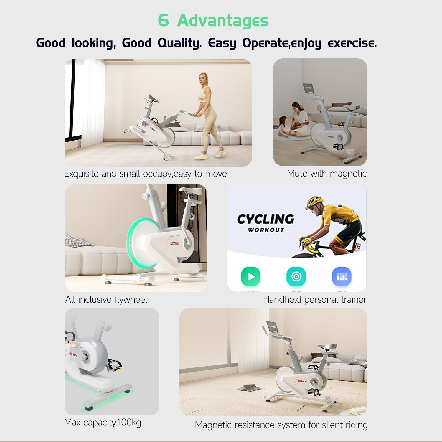 Indoor Cycling Air Stationary Bike Professional Cardio Fitness Home Gym ...