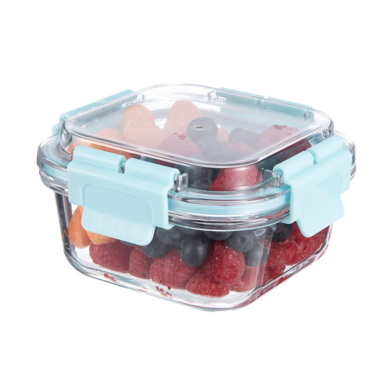 Borosilicate Rectangle Lunch Box Small Glass Containers, Glass Food ...