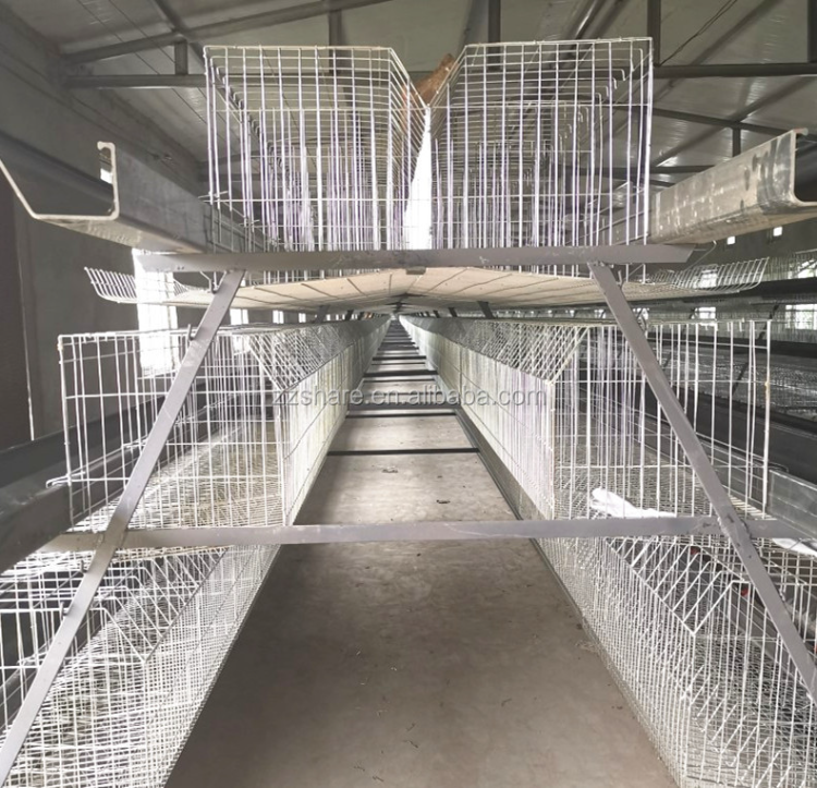 Buy Wholesale China Egg Chicken House Design For Layers Chick Chicken ...