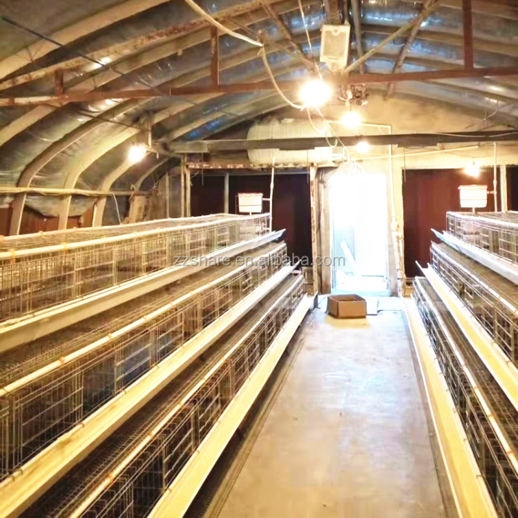 Buy Wholesale China Egg Chicken House Design For Layers Chick Chicken ...