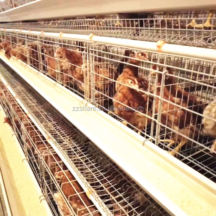 Buy Wholesale China Egg Chicken House Design For Layers Chick Chicken ...