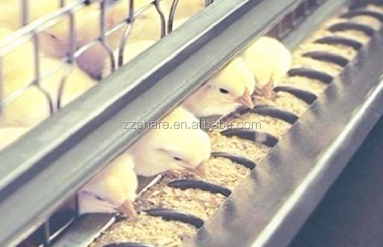 Buy Wholesale China Egg Chicken House Design For Layers Chick Chicken ...